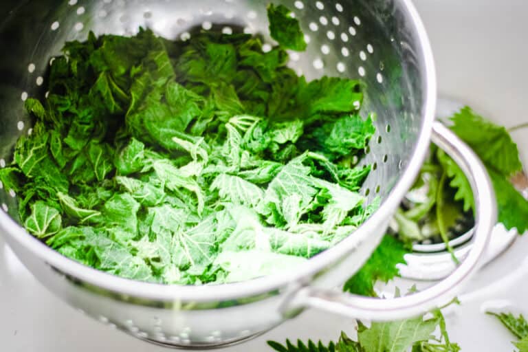 Nettle Quiche with Cheddar Cheese {gluten-free} - From The Larder