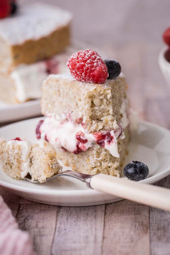 Gluten-Free Vegan Vanilla Sponge Cake - From The Larder